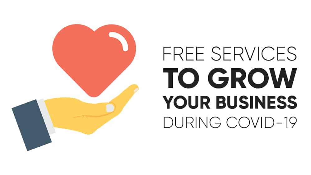 Free SEO For Small Businesses - Ignition Digital Marketing